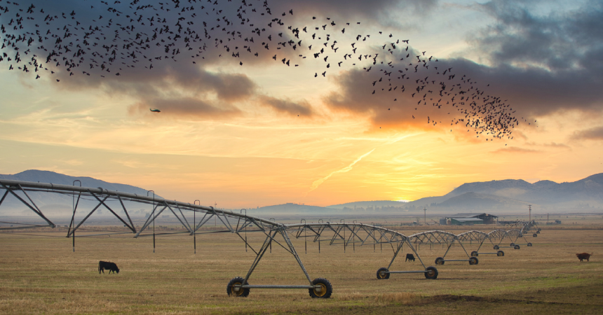 Home | Klamath County Library Service District